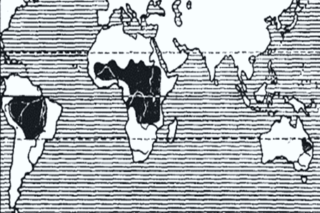 Zoo Geographical Evidece of Evolution | BIOZOOM